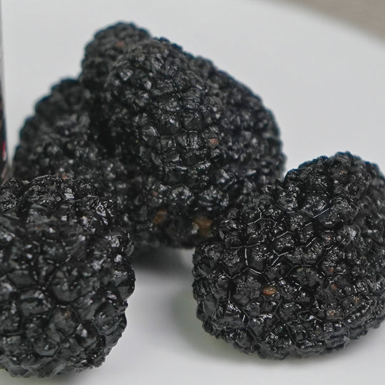 Black Truffles | Order Online - Free Shipping | Pure Wild